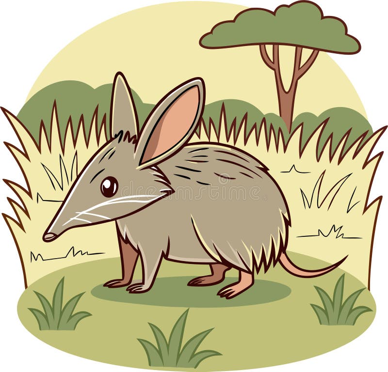 Elephant Shrew, Full Body Realistic Image Stock Illustration ...