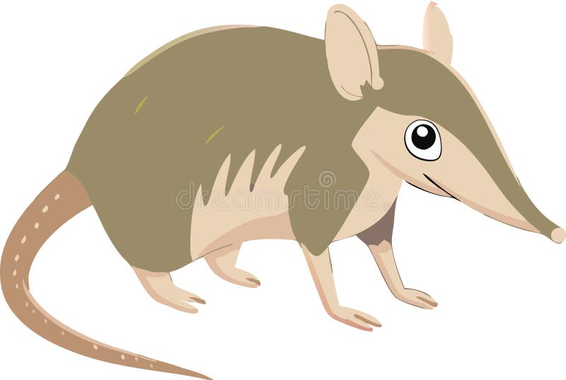 Elephant Shrew, Full Body Realistic Image Stock Illustration ...