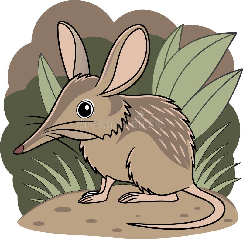 Elephant Shrew, Full Body Realistic Image Stock Illustration ...