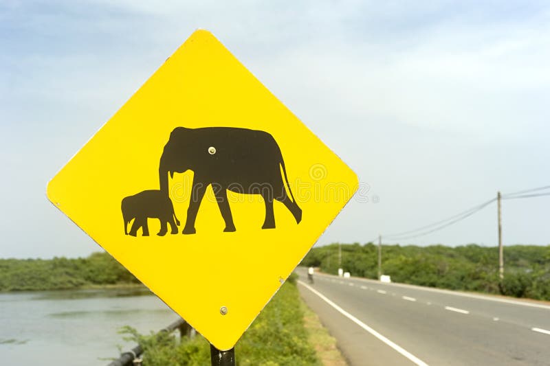 Elephant Sign stock image. Image of lanka, blue, horizon - 19517019