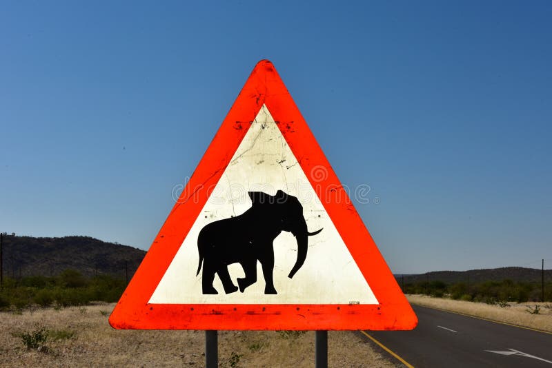 Elephant Sign - Namibia stock image. Image of azure, sign - 59576849