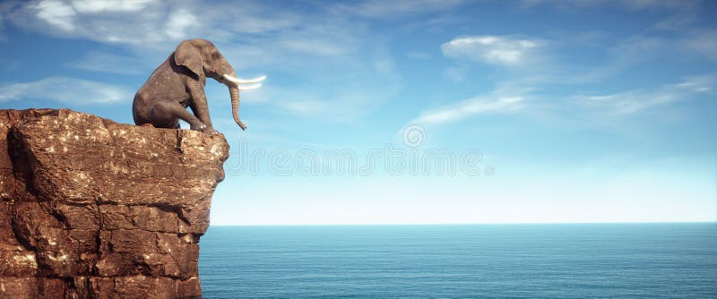 Elephant Sits on a Rock Cliff Admiring the Ocean Stock Illustration ...