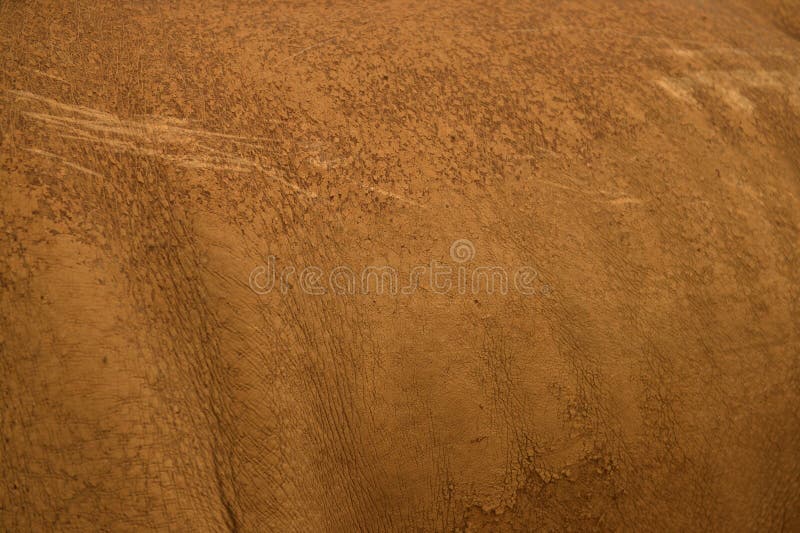 243 Elephant Tile Stock Photos - Free & Royalty-Free Stock Photos from ...