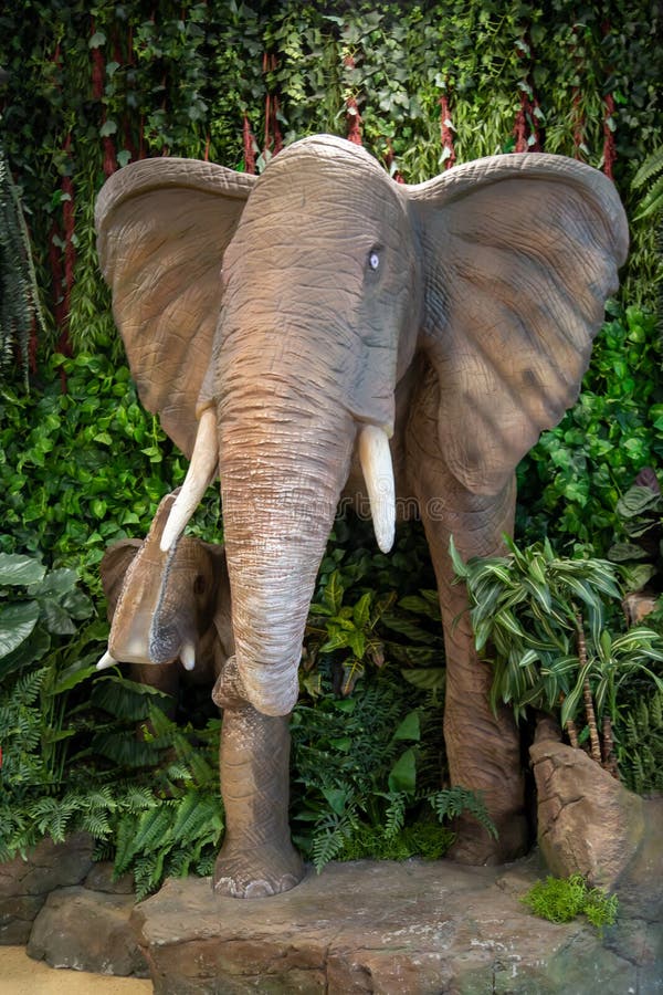 An Elephant Standing at the Exit from the Jungle Thickets Stock Photo ...
