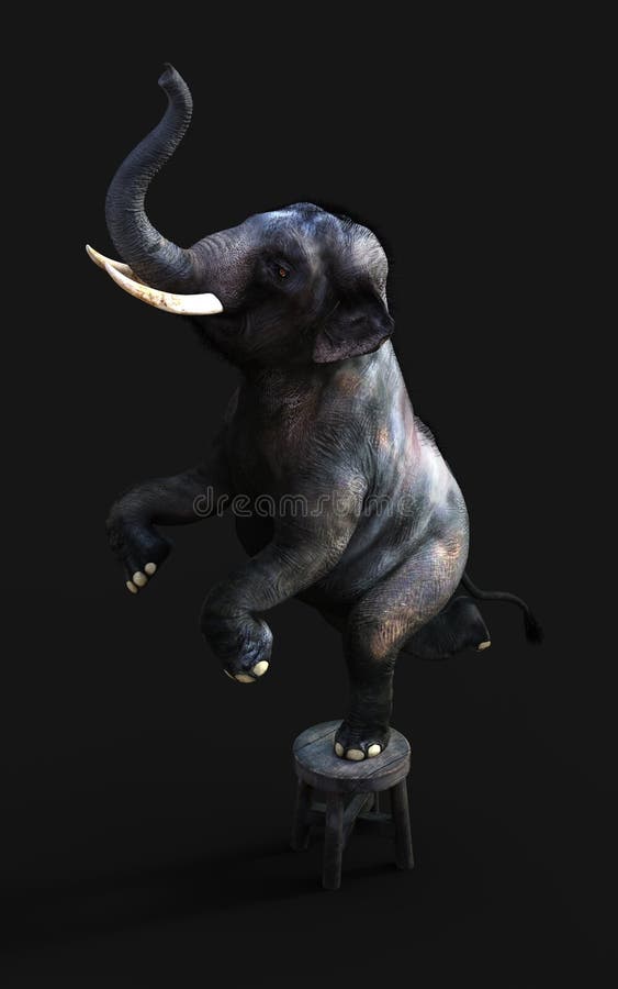 Elephant Standing One Leg Stock Illustrations – 10 Elephant Standing ...