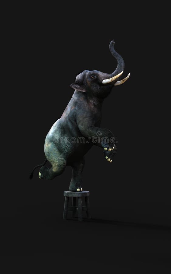 Elephant Standing One Leg Stock Illustrations – 13 Elephant Standing ...