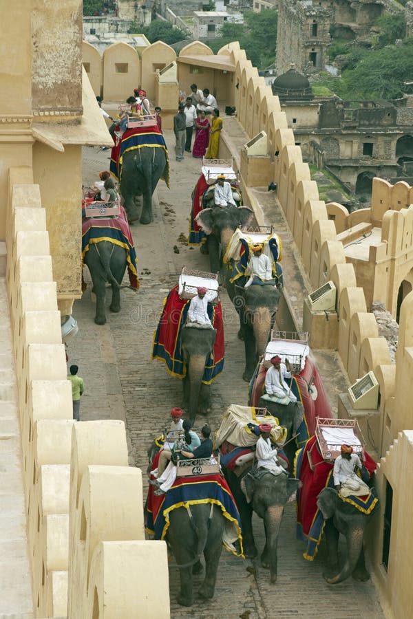 Elephant Transport editorial image. Image of travel, animal - 6033125