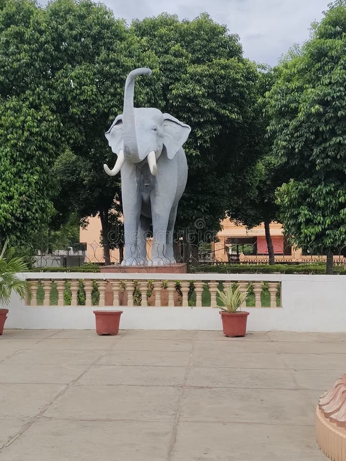 Elephant and tree stock photo. Image of temple, tree - 309414742