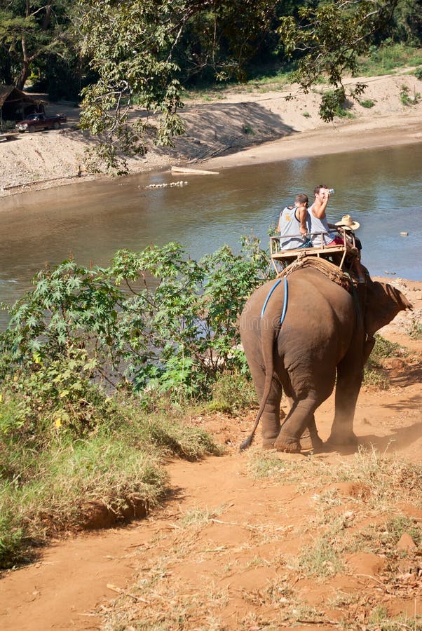 Elephant trekking editorial stock image. Image of fauna - 49940199