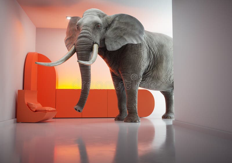 Elephant Walking in the House Interior Stock Illustration ...