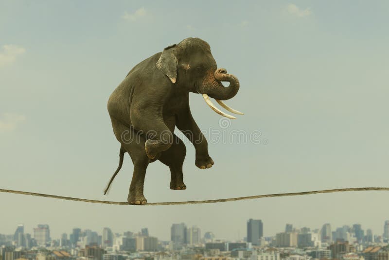 Circus Elephant Rope Stock Photos - Free & Royalty-Free Stock Photos ...