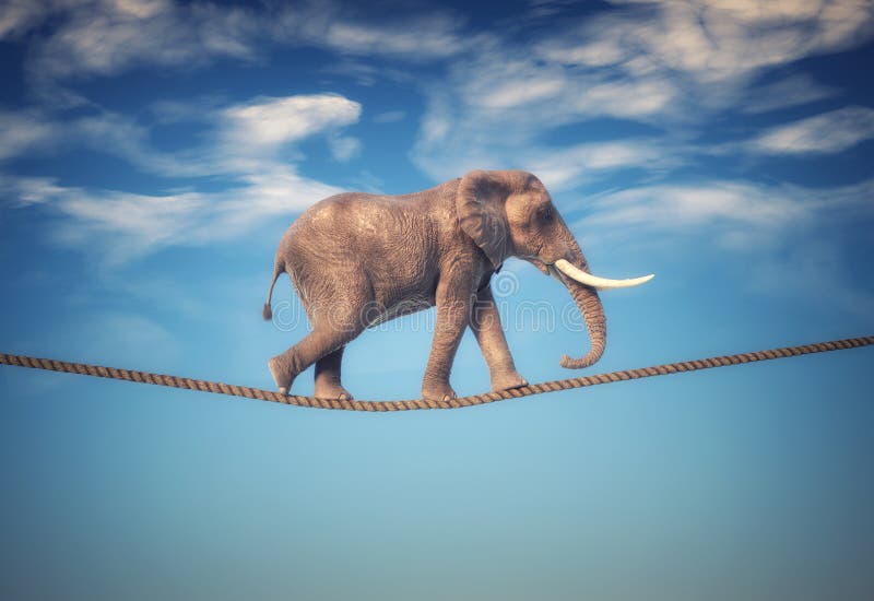 Elephant walking on a rope stock illustration. Illustration of stress ...