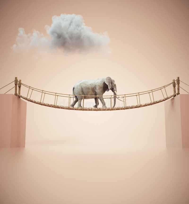 Elephant Walks on Rope Above a Gap between Two Cubes. Risk Taking and ...