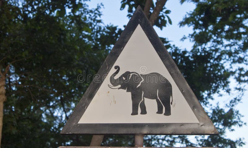 Elephant warning sign stock photo. Image of attention - 59860580