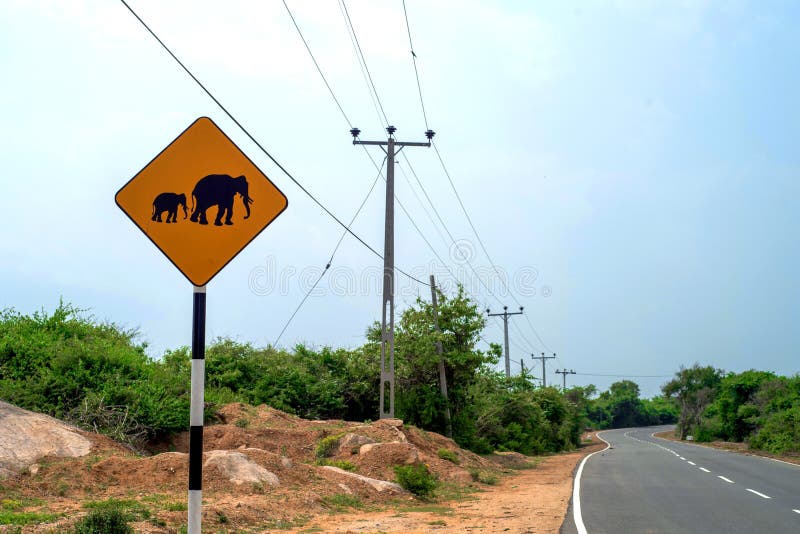 Elephant Warning Sign stock image. Image of post, road - 109463639