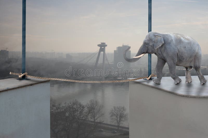 Elephant on a rope stock photo. Image of imagination - 33953086