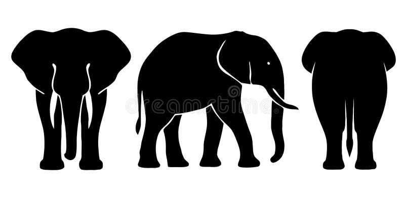 Elephants in Different Perspectives Silhouette Representation of ...