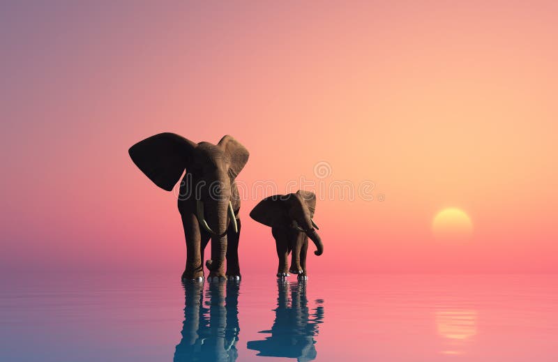 Elephants. stock illustration. Illustration of pink, bull - 75530370