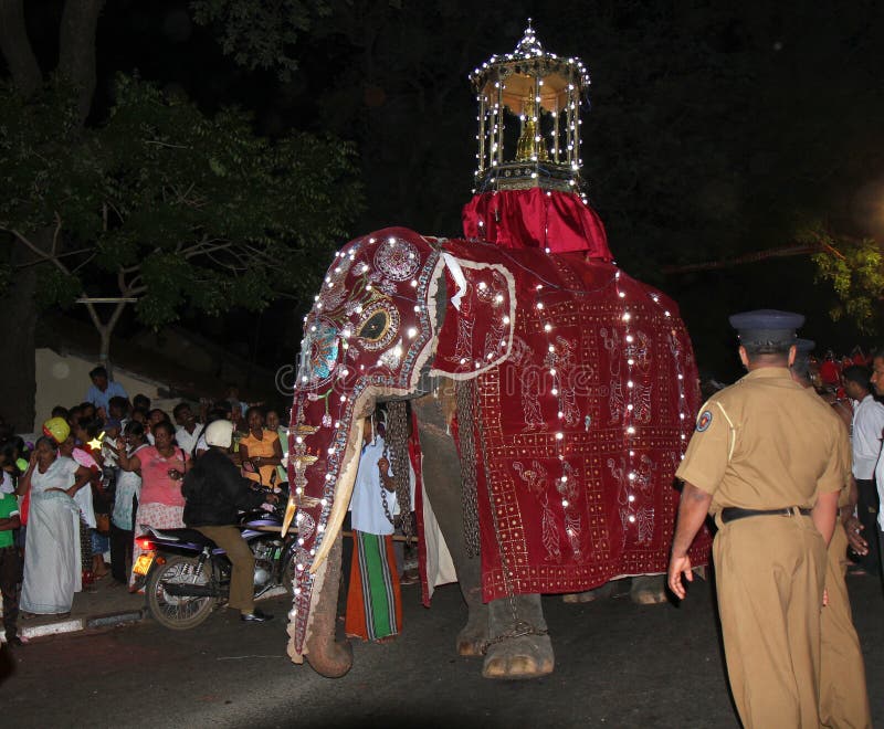 Elephants parade editorial stock image. Image of trunk - 25846824