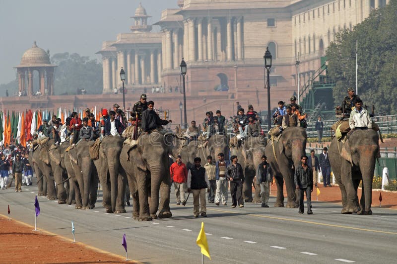 Elephants on Republic Day Parade Editorial Photography - Image of india ...