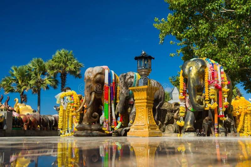 Elephants at the Phuket Lighthouse Prom THep Stock Image - Image of ...