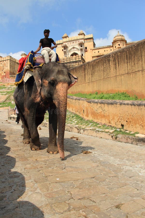 Elephants Ride in Amber Fort. Editorial Stock Photo - Image of ...