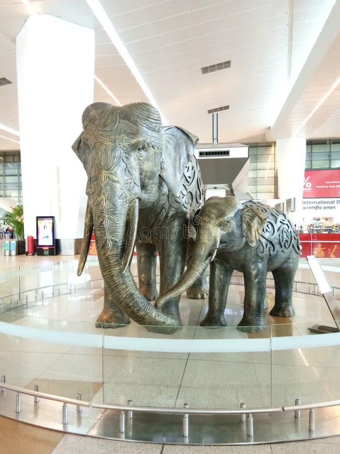 Elephants in stall editorial stock photo. Image of stall - 158784953