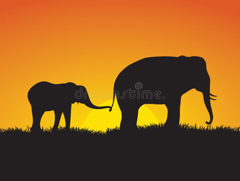 Baby African Elephants In Sunset