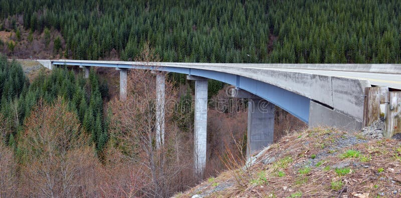 Elevated Bridge in the Mountains through the Forest in the Pacific ...