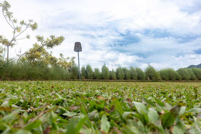 Elevated Deck Overlooking Nature. Stock Image - Image of panoramic ...