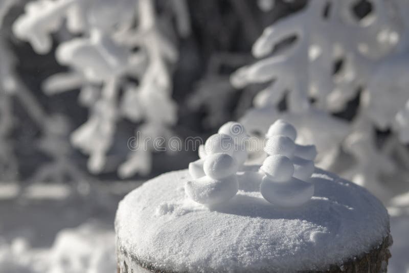 Elevated Perspective of a Large Forest and Deciduous Trees that are ...