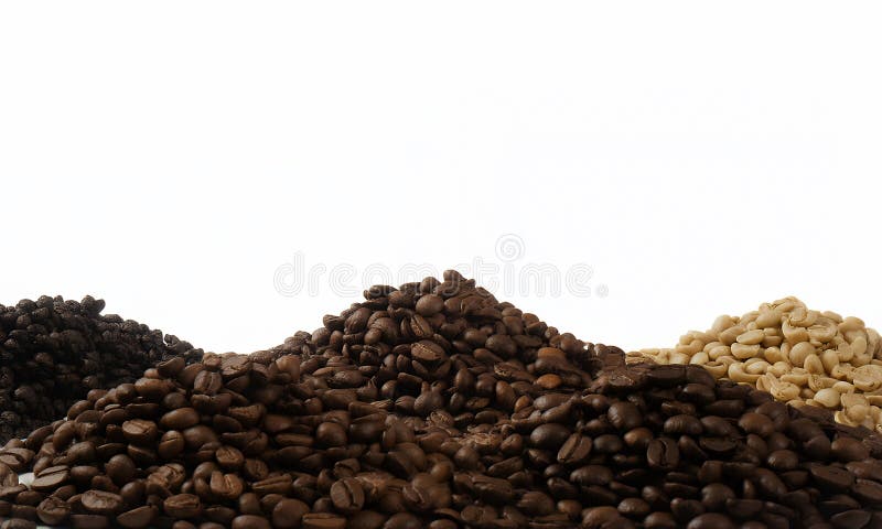 Studio Shot of Assorted Coffee Beans in Brown Dark and Light Tan Three ...