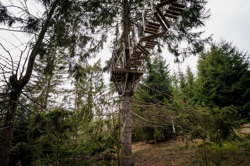 Elevated Treehouse Structure Surrounded by Dense Forest Foliage Stock ...
