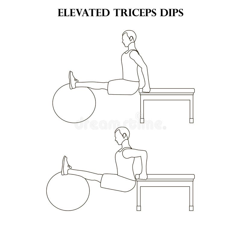 Elevated Triceps Dips Exercise Strength Workout Illustration Outline ...