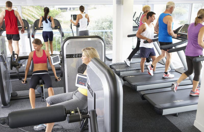 Elevated View of Busy Gym with People Exercising on Machines Stock ...