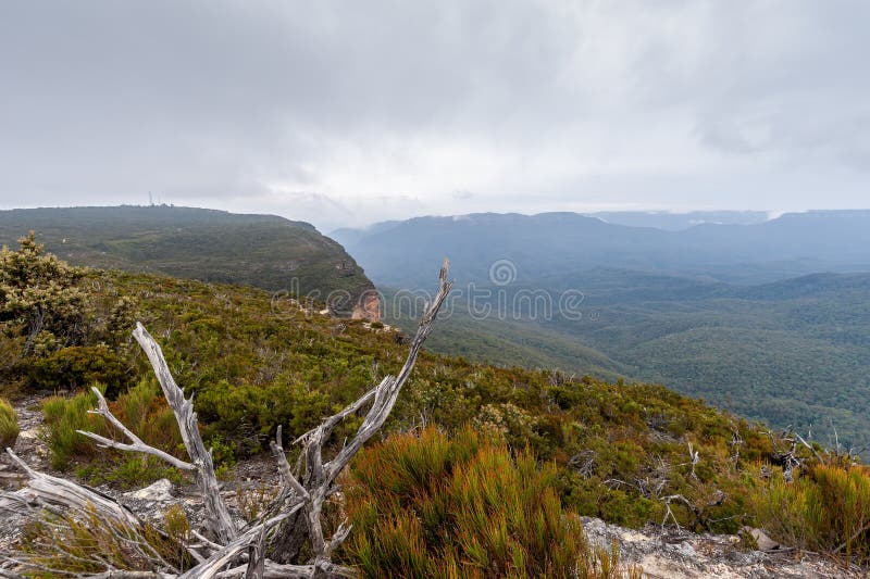 Elevated View of Deep Rugged Valley and Rolling Hills from a Rocky ...