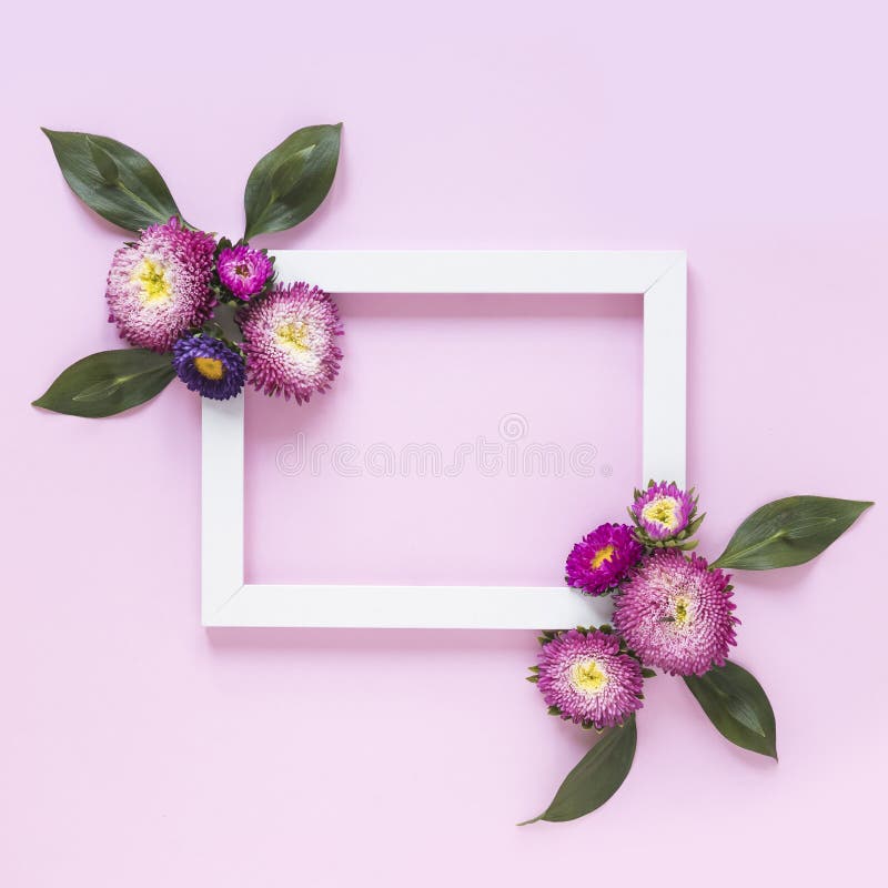 Elevated View Frame Decorated with Flowers Pink Background. High ...