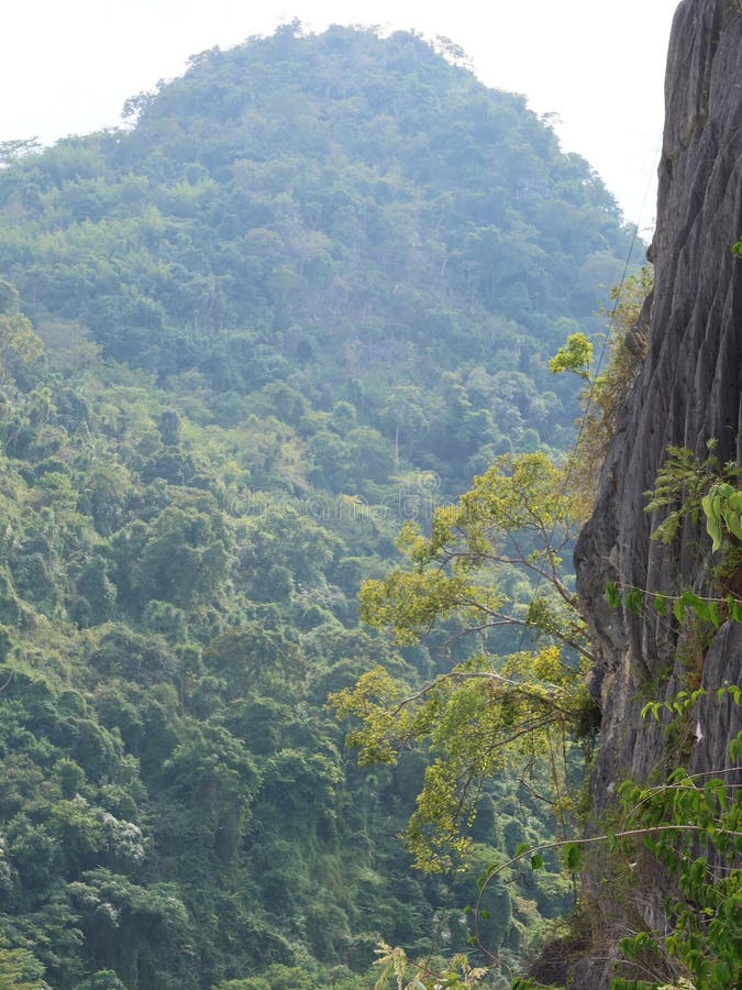 Elevated View of Limestone Mountains Covered with Forest Below with ...
