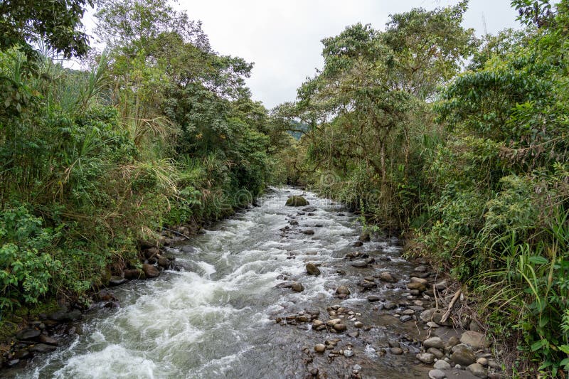 Elevated View of the Mindo River with Dense Jungle on Both Sides. White ...