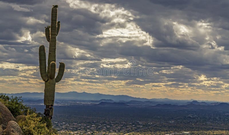 Elevated View of the Phoenix AZ Valley Floor Stock Photo - Image of ...