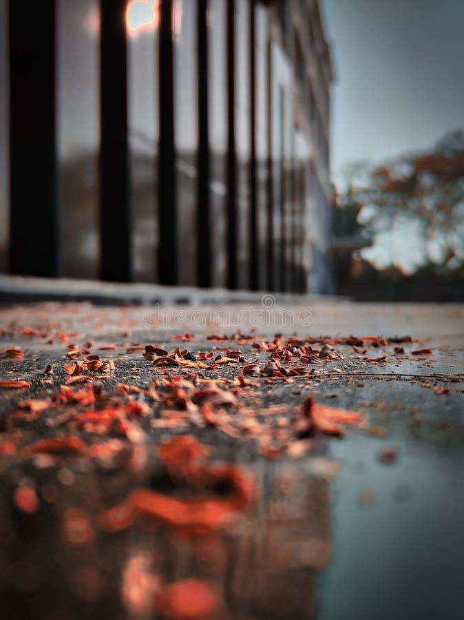 Serene Puddle Stock Illustrations – 202 Serene Puddle Stock ...