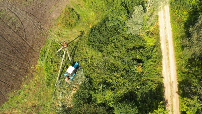 Elevated View Trees Trimming Using a Flail Hedge Cutter Attached To ...