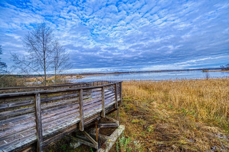 Elevated Wooden Dock Extending Over a Tranquil Marsh, with a Serene ...