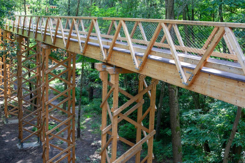 Elevated Wooden Walkway in Forest Stock Photo - Image of dense, foliage ...