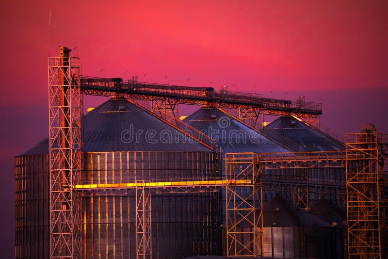 Elevator. Modern Large Agro-industrial Complex. Grain Storage and ...