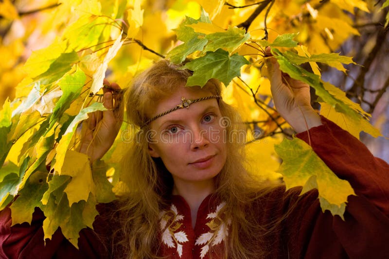 The Elf in the Autumn Forest Stock Image - Image of brown, female: 10948311