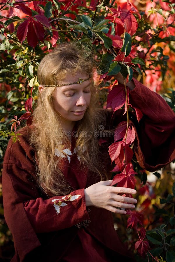 The Elf in the Autumn Forest Stock Image - Image of lothlorien, forest ...