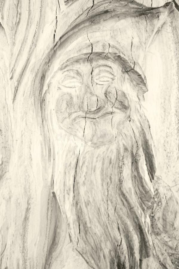 Carved in the Tree Holding the Heart Stock Photo - Image of tree, heart ...