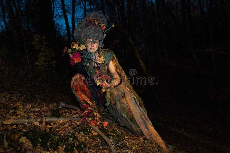 Elf stock image. Image of forest, spirit, brown, godmother - 62581523