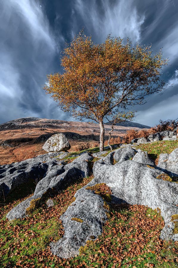 The Elgol Peninsula, Afternoon in October Stock Photo - Image of ...